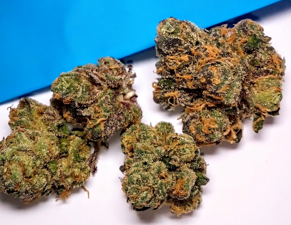 Cannabis Review – London Pound Cake 75 – Maryland Home Grow Consulting